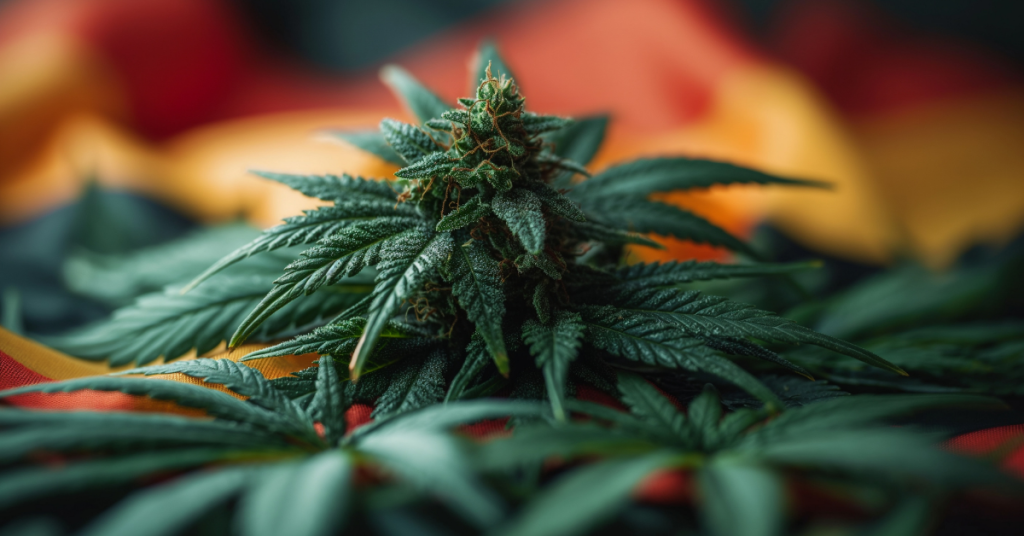 Which NJ Towns Allow Cannabis? | Citi Roots